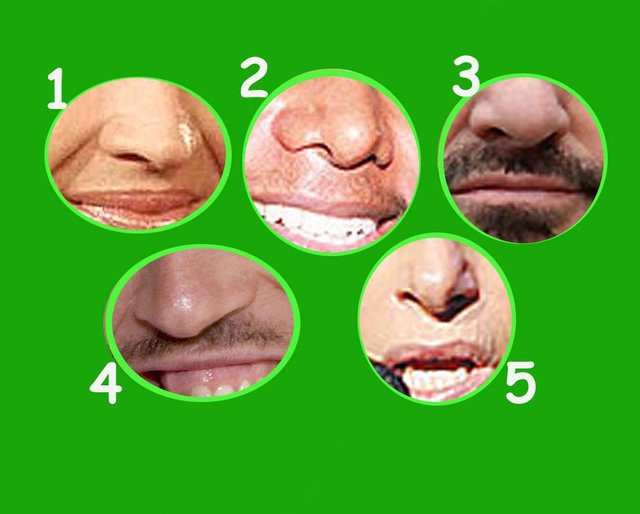 Friday Five - Welche berühmten Nasen sind hier versteckt? - Wesel