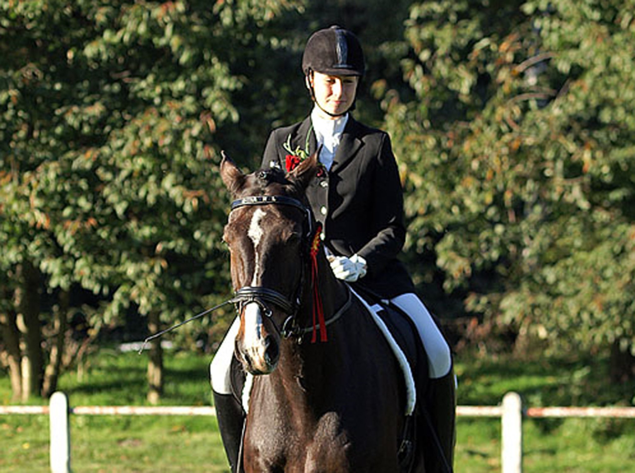 Pferdesport: 12 Reiterinnen und 14 Erfolge - Gelsenkirchen