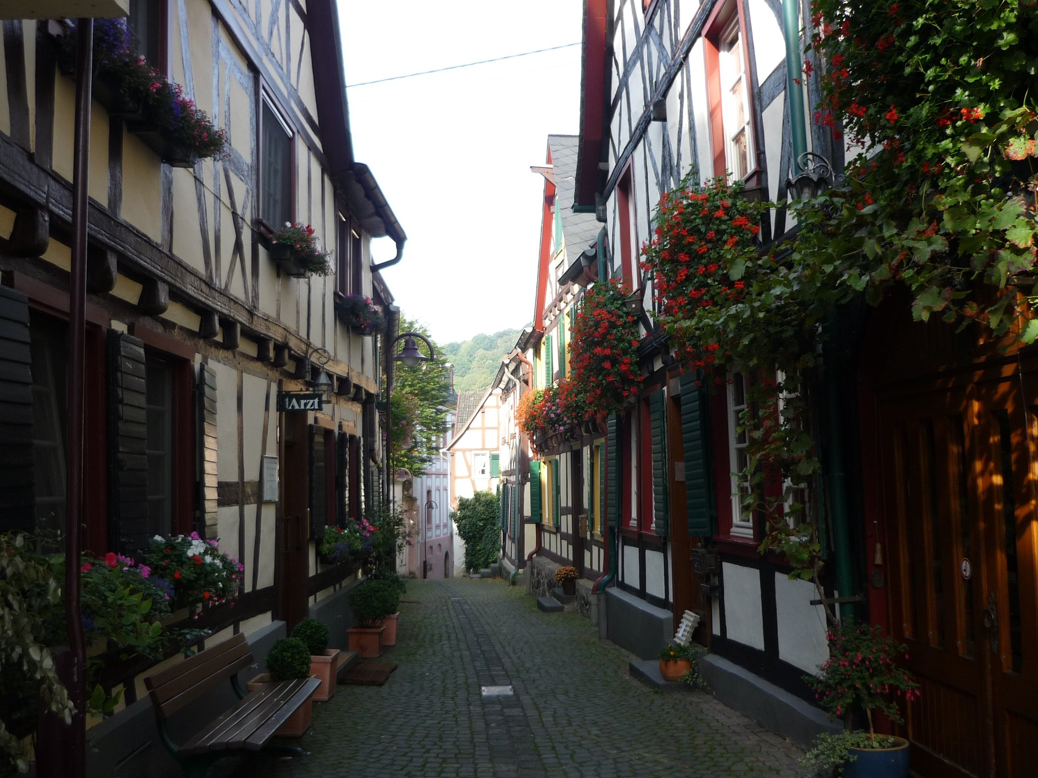 „Unkel“ - die kleine Stadt am Rhein - Essen-Süd