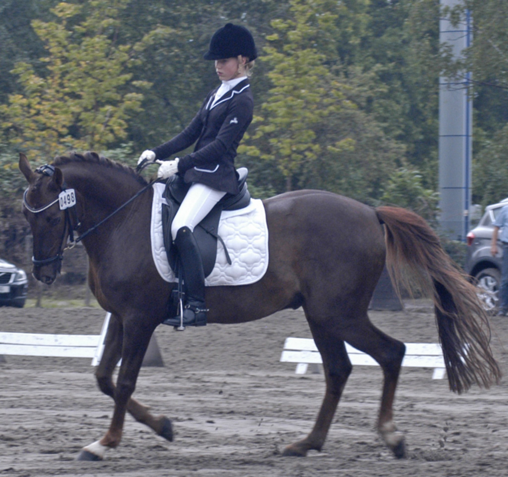 Reiterinnen zum Schleifen sammeln in Dorsten - Dorsten