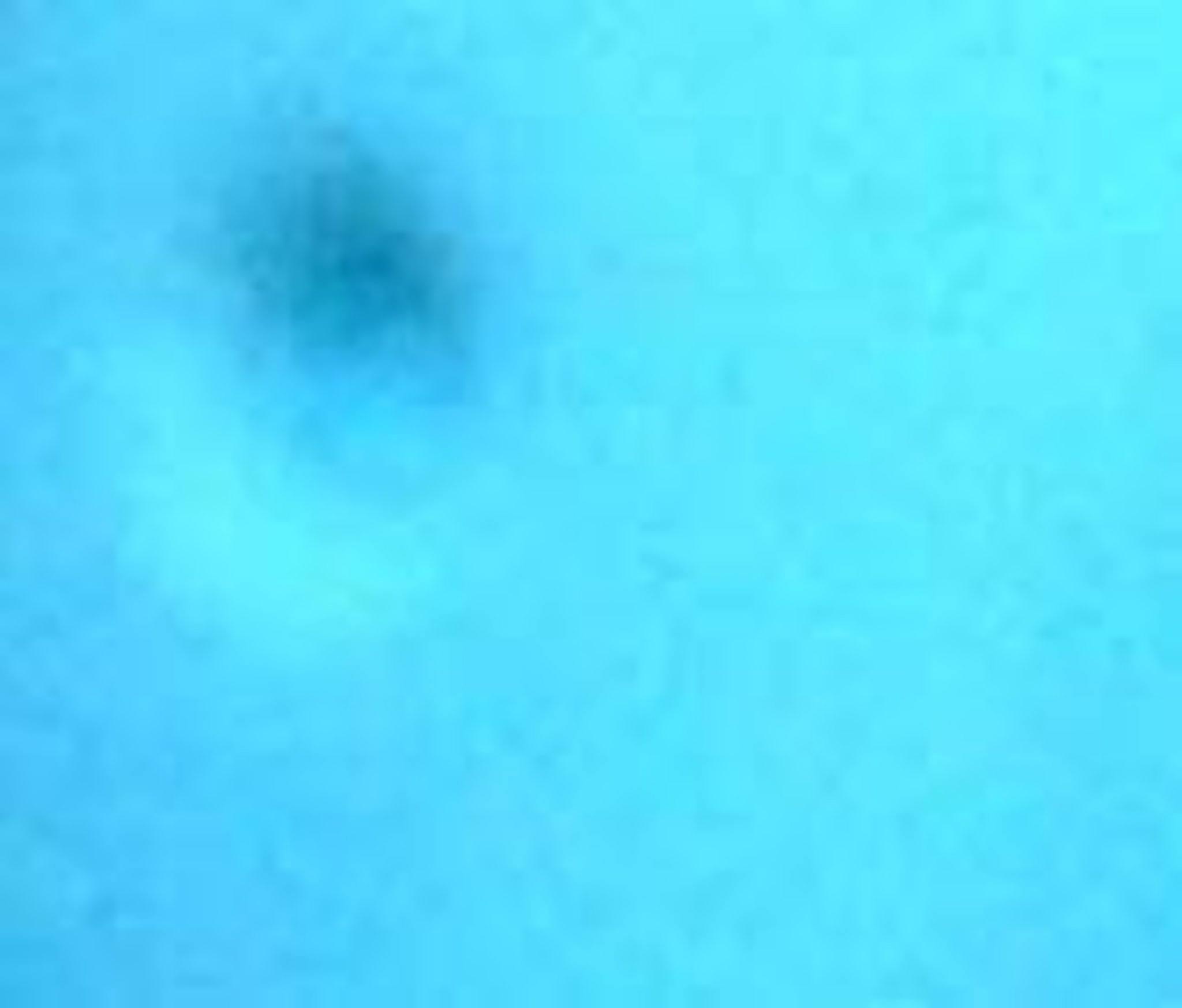 Bilderrätsel - gelöst von Bea Gutmann - Wesel