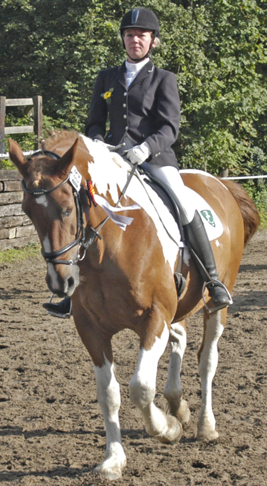Reiterinnen und Reiter trafen sich in Resse zum vorletzten ...