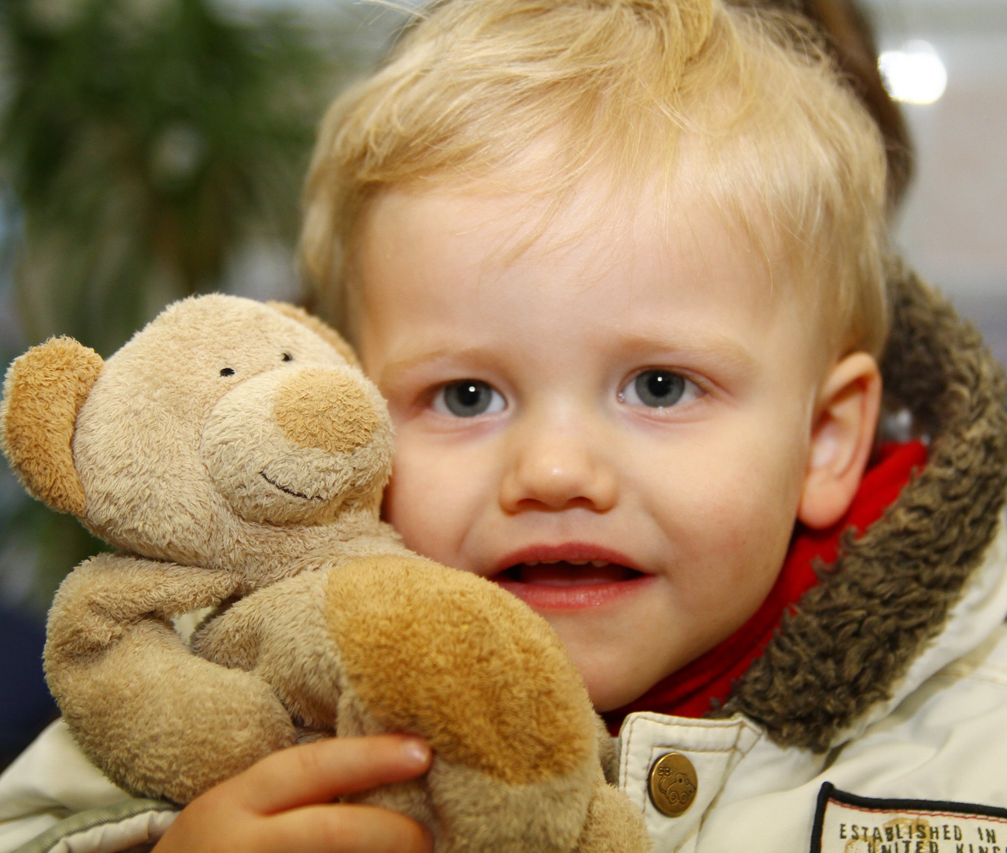 Bruno Bär wird wieder gekuschelt - Lünen