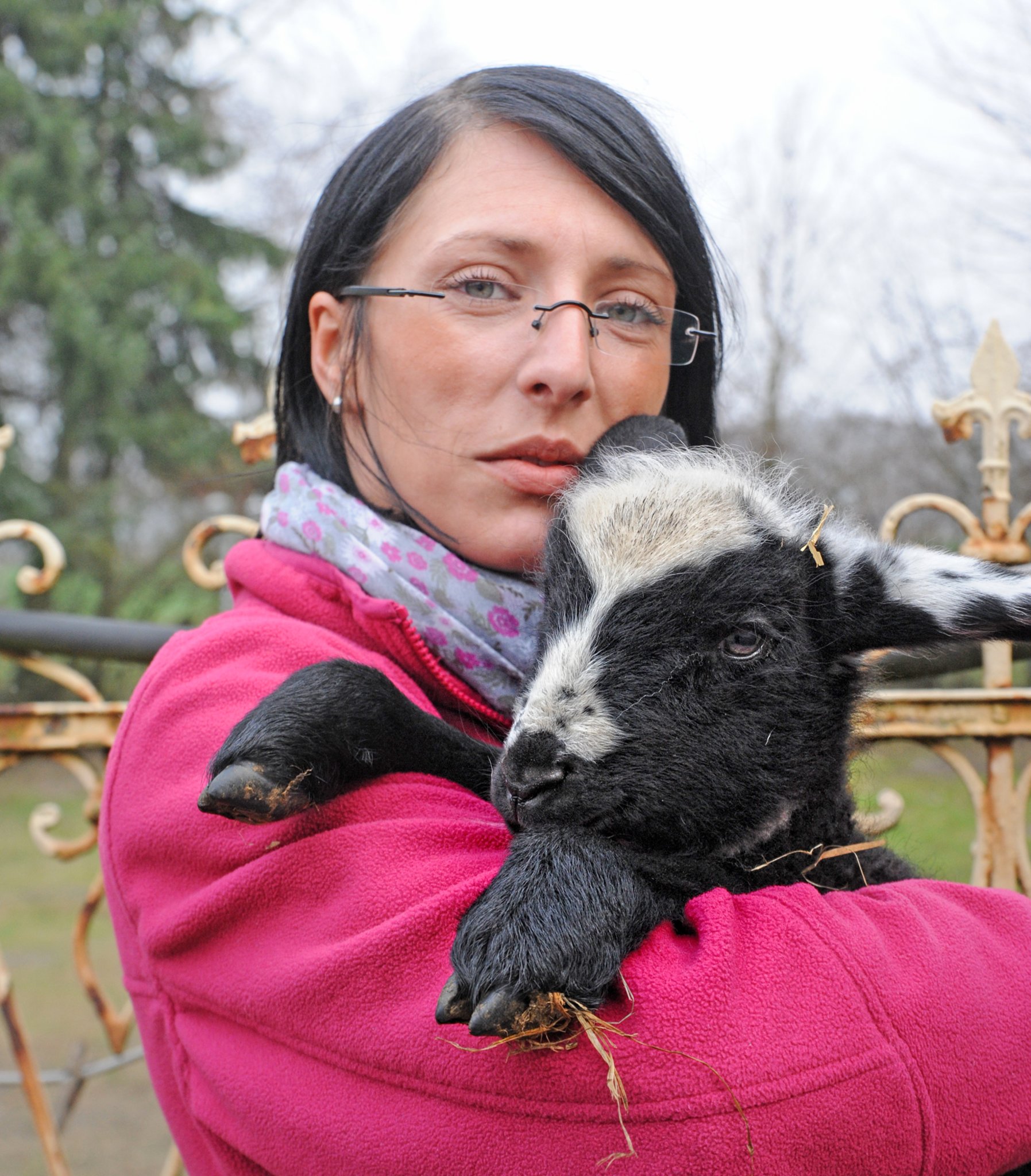 Sie haben ihre Schäfchen im Trockenen - Lünen