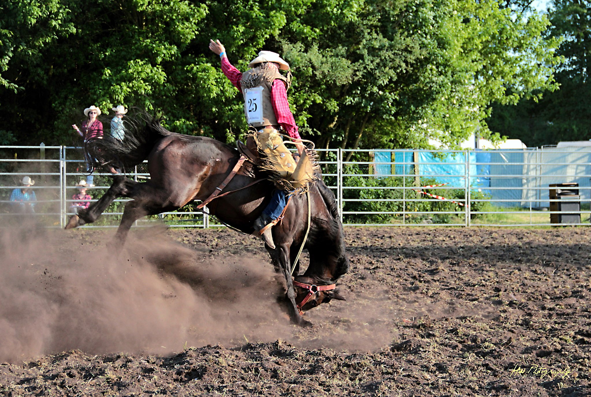 American Rodeo: Der Wilde Westen kommt nach Kley - Dortmund-West