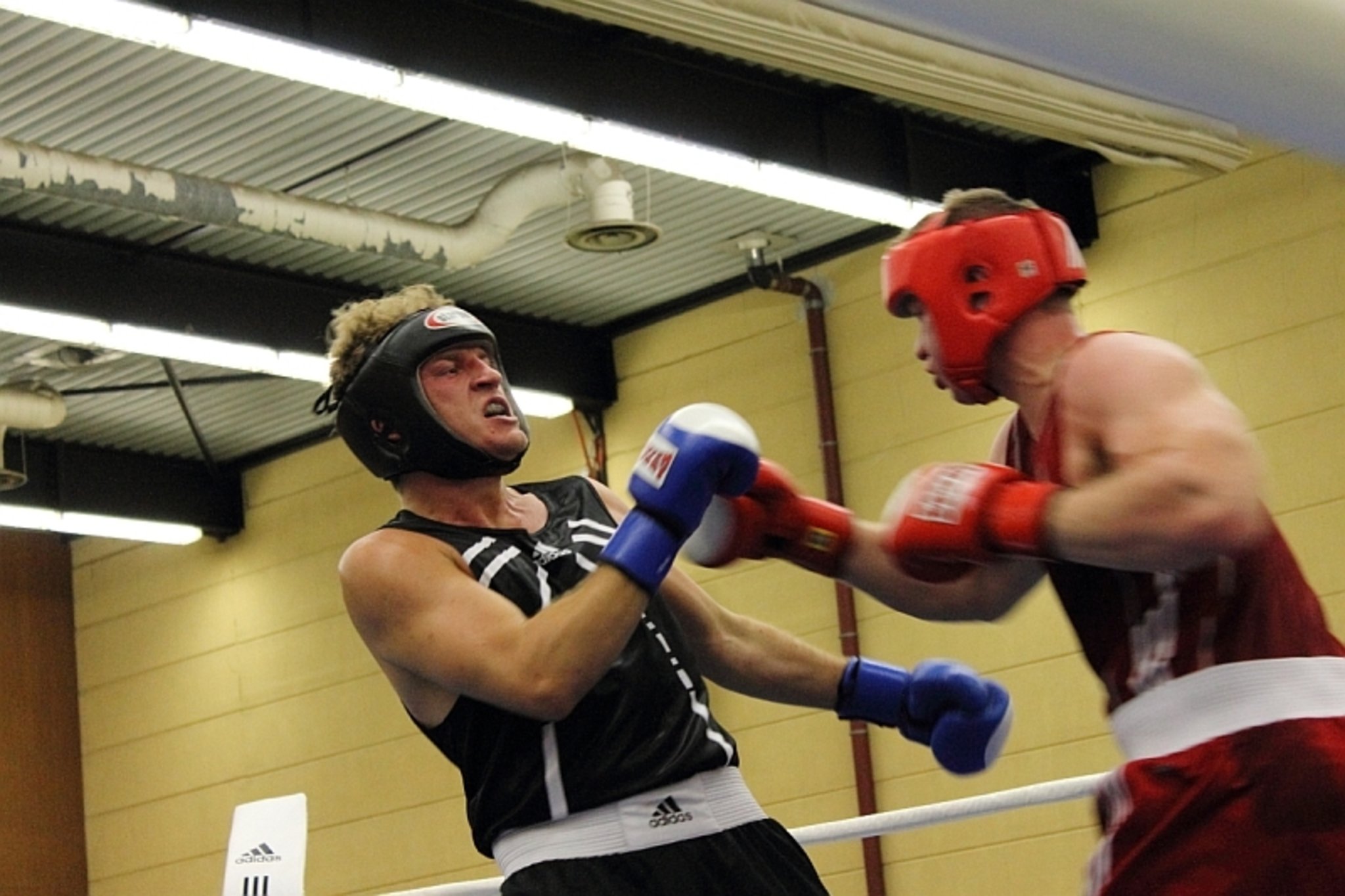 NRW Boxer starten in die Westdeutsche Meisterschaft - Düsseldorf