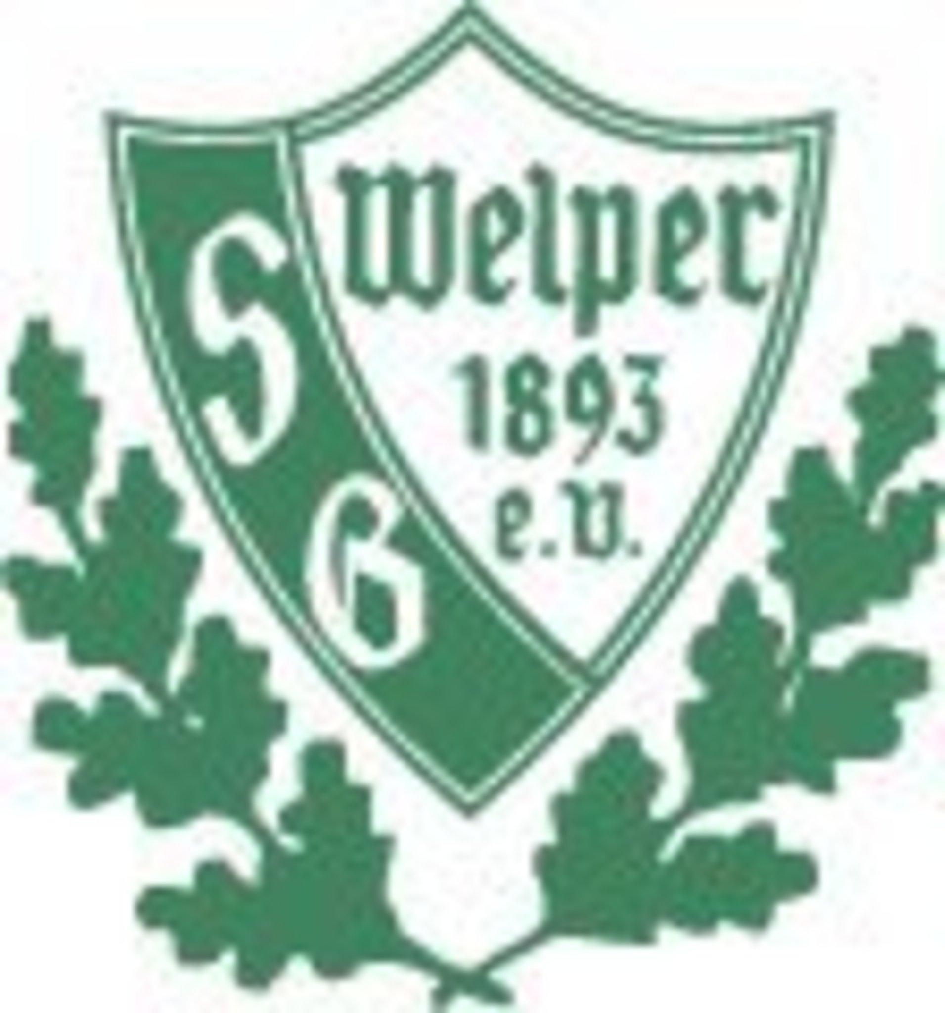 Welpers Basketballer starten gut - Hattingen