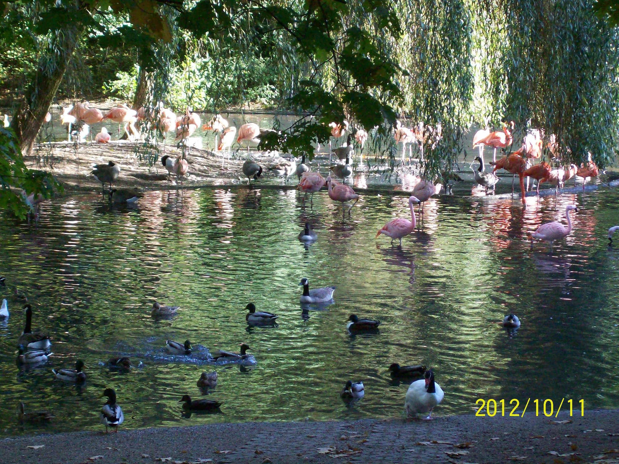 Enne Besuch im Zoo, oh, oh, oh, oh ..... - Menden (Sauerland)
