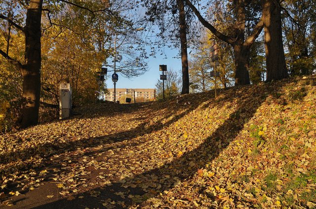 Ein Spaziergang an der Ruhr in Essen-Steele. - Essen-Steele