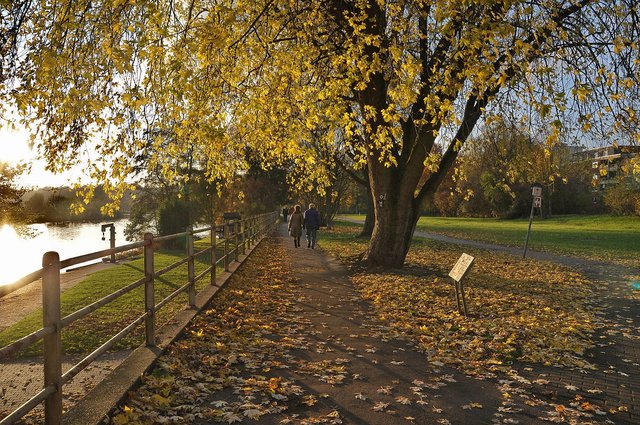 Ein Spaziergang an der Ruhr in Essen-Steele. - Essen-Steele