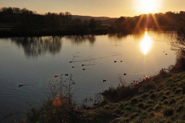 Ein Spaziergang an der Ruhr in Essen-Steele. - Essen-Steele