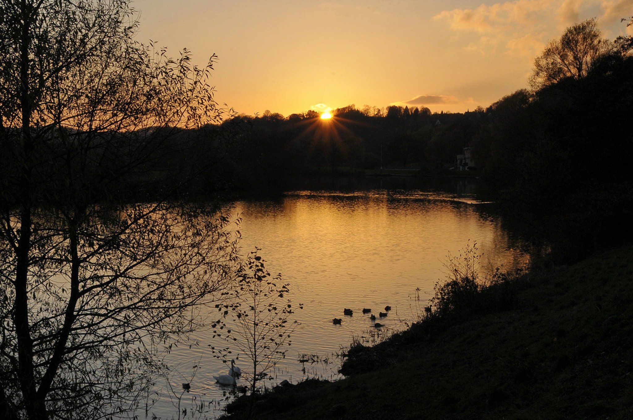 Ein Spaziergang an der Ruhr in Essen-Steele. - Essen-Steele