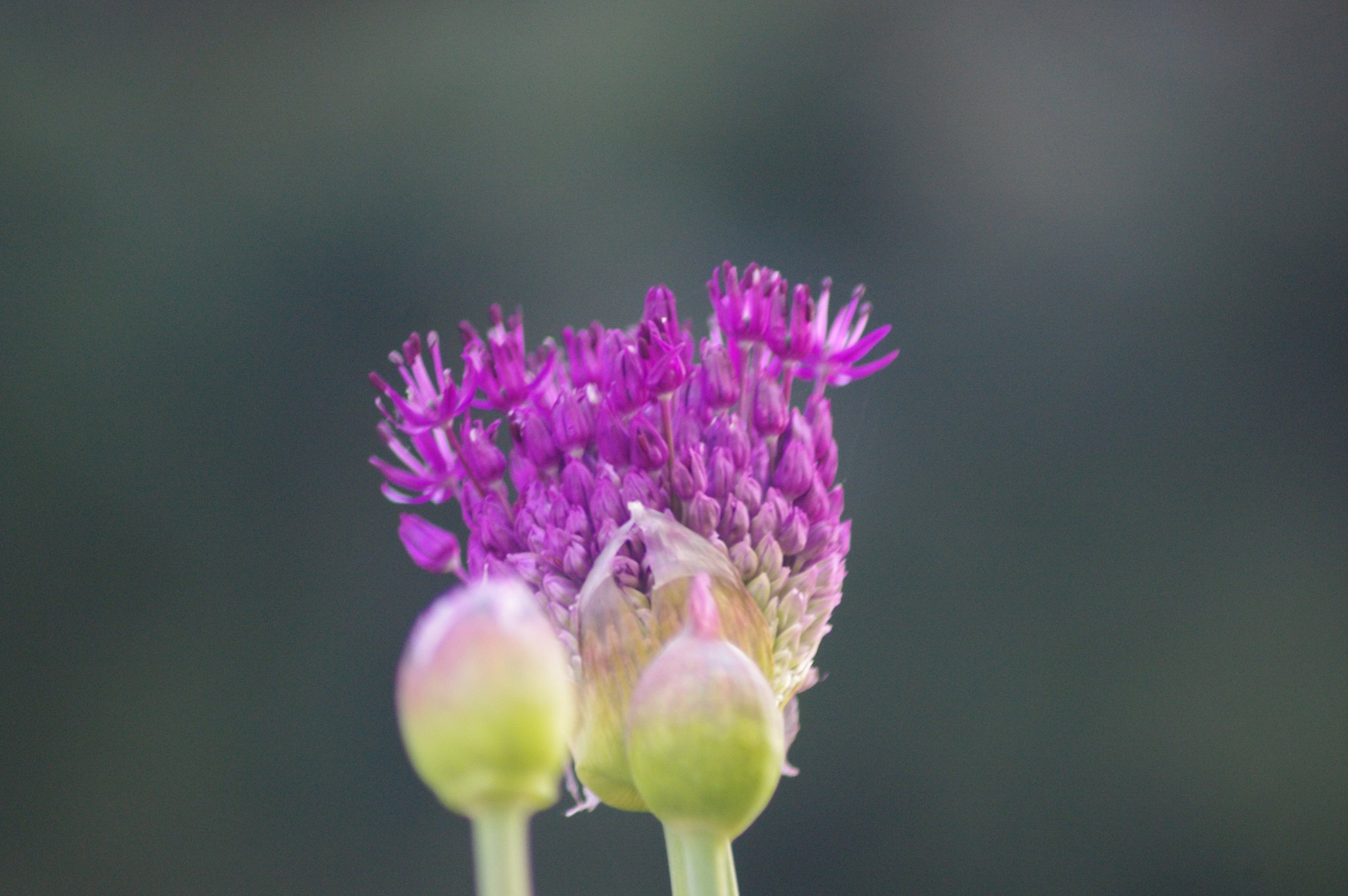 Perspektivwechsel - Iserlohn-Letmathe
