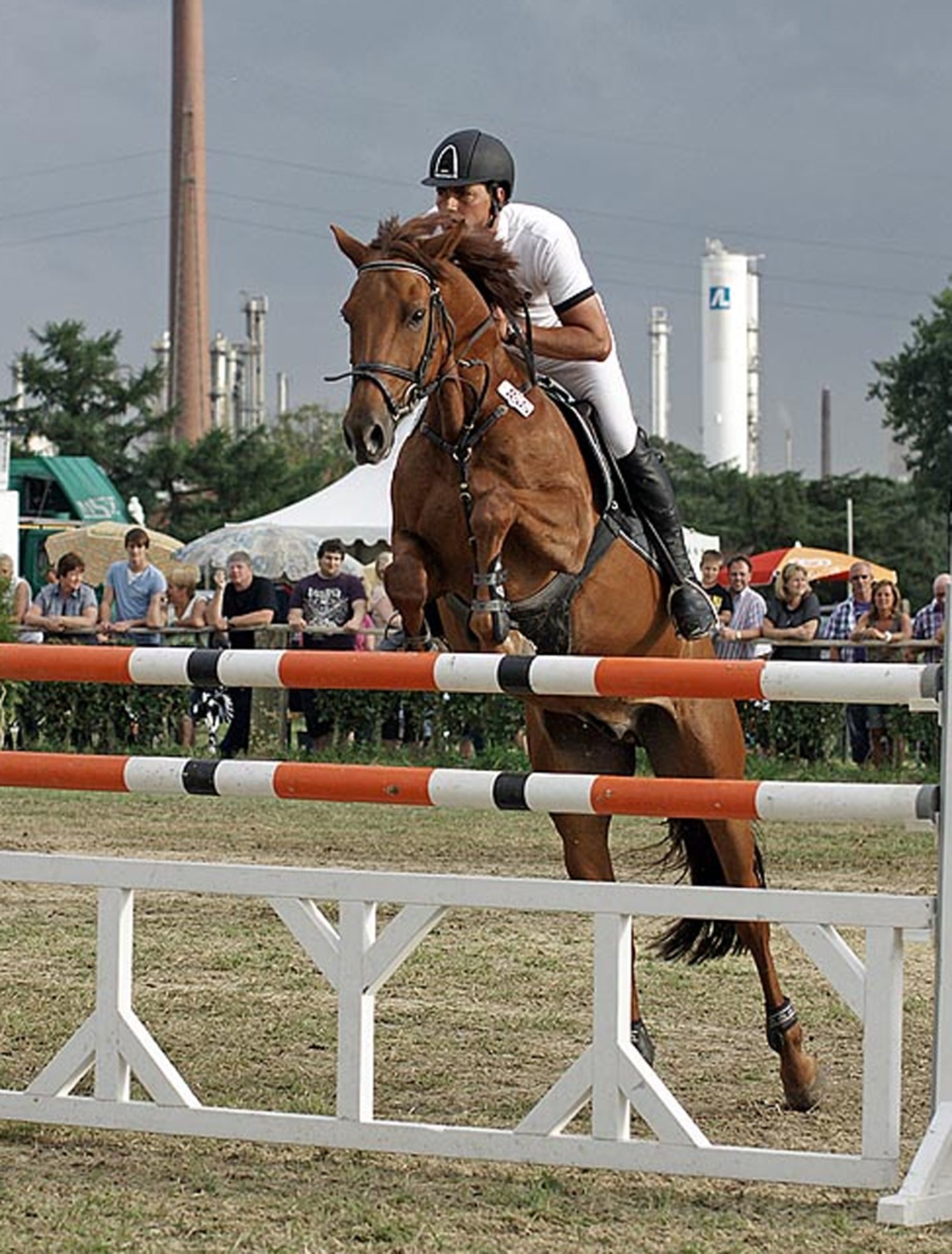 Großes Dressur- und Springturnier in Gelsenkirchen-Scholven - Gelsenkirchen