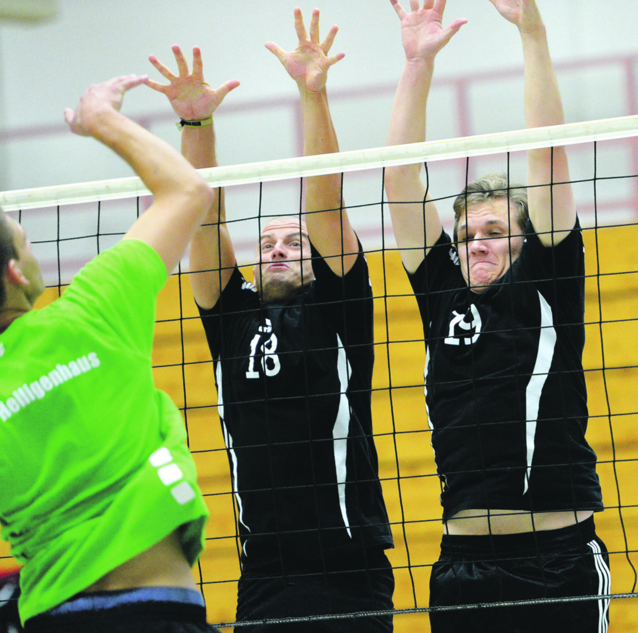 Die WTB Volleyballer starten mit Appeltaten-Turnier in die neue Saison ...