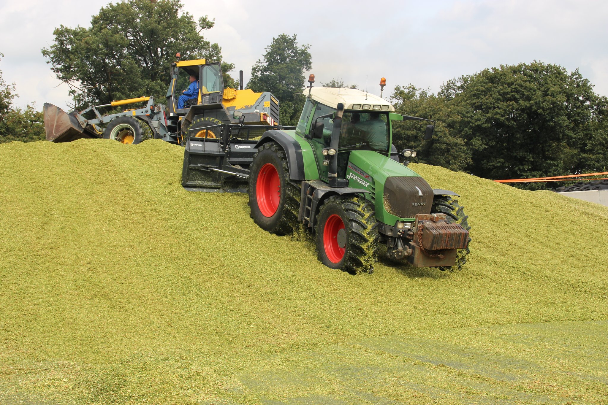 Die Maisernte geht weiter mit 623 PS und 10 Reihen auf einmal! - Kleve