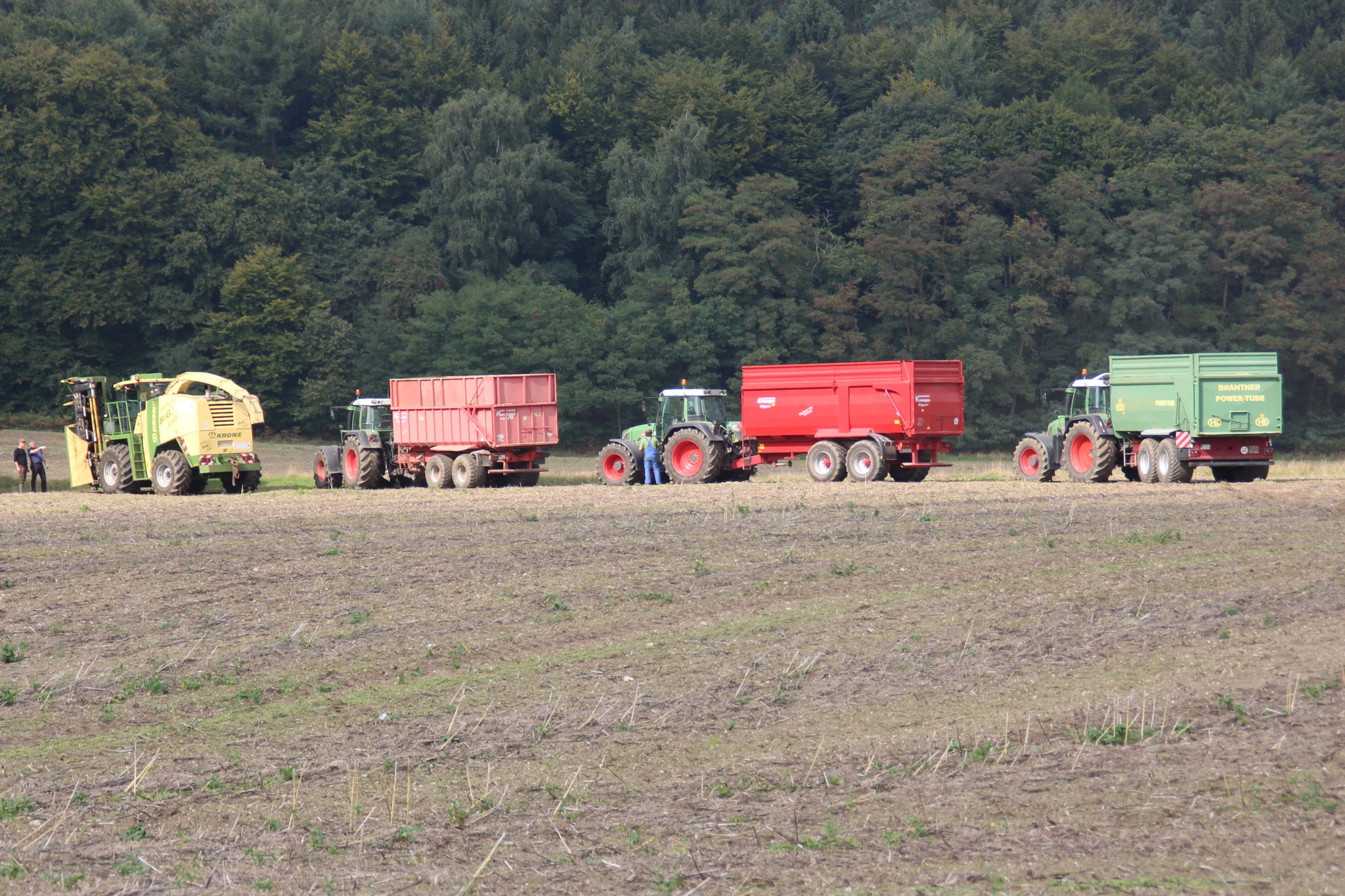 "Bio"Mais, Mais für Biogasanlage mit 650 PS in Udem.... - Kleve
