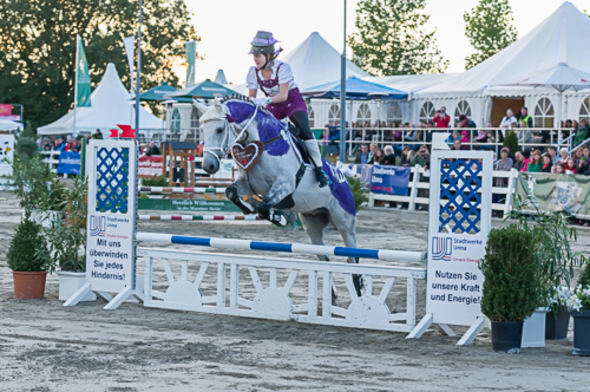 12. Reit- und Springturnier in der Massener Heide lockt Reiter aus der ...