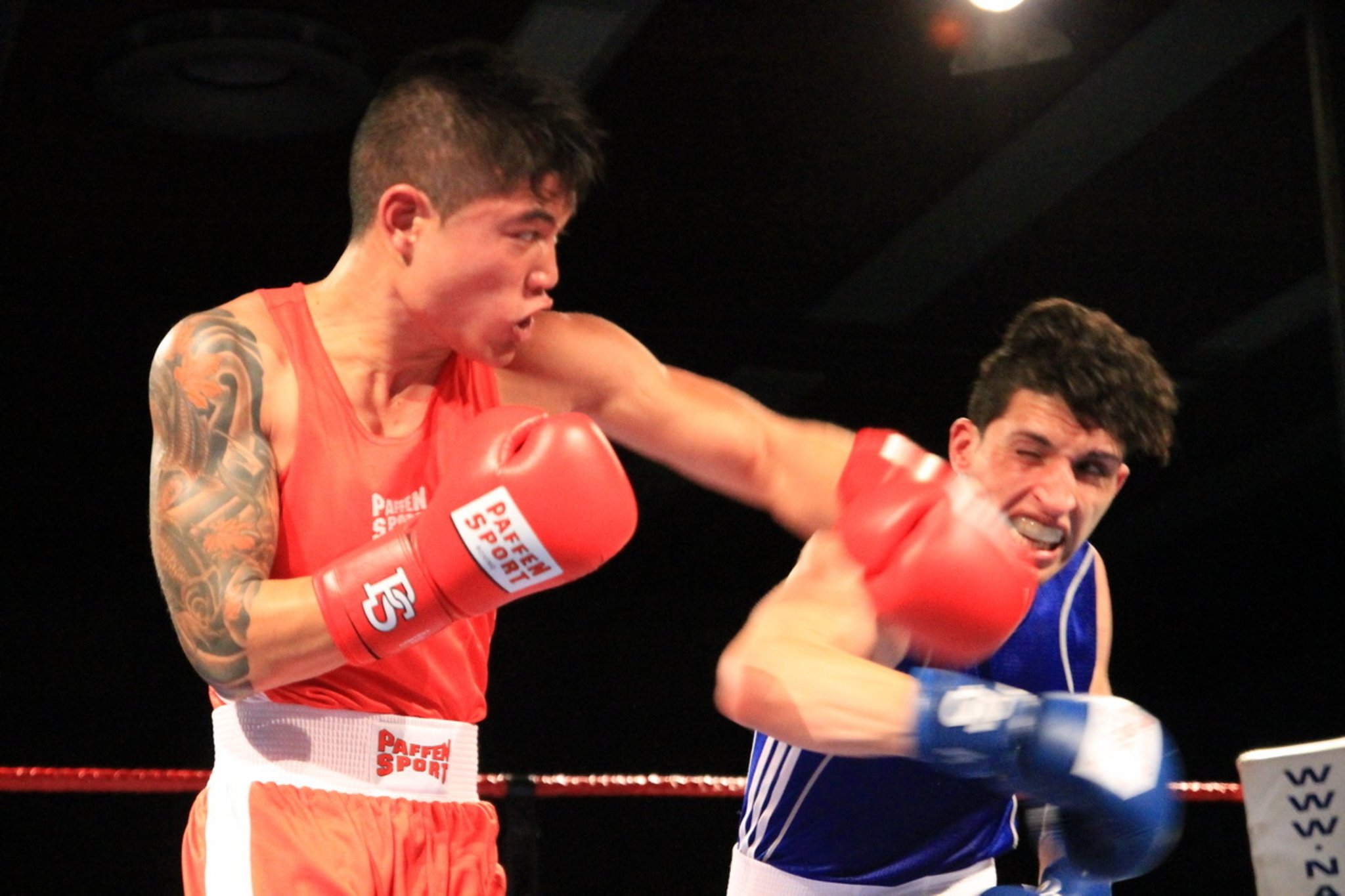 Düsseldorfer Boxer siegen in Holland - Düsseldorf