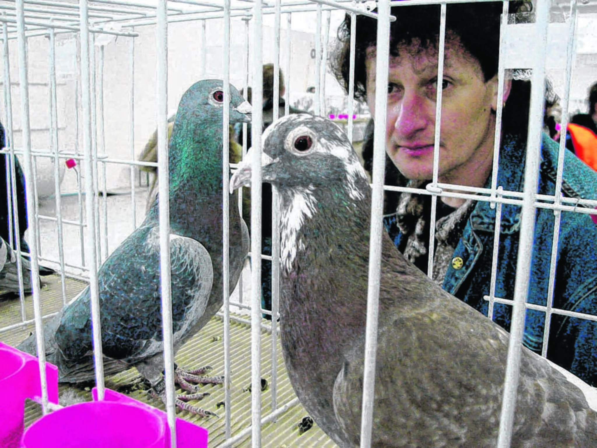 Reisevereinigung Alpen: Edle Tauben, stolze Züchter - Xanten