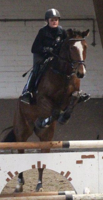 Der international erfolgreiche Reiter Daniel Oppermann trainierte ...