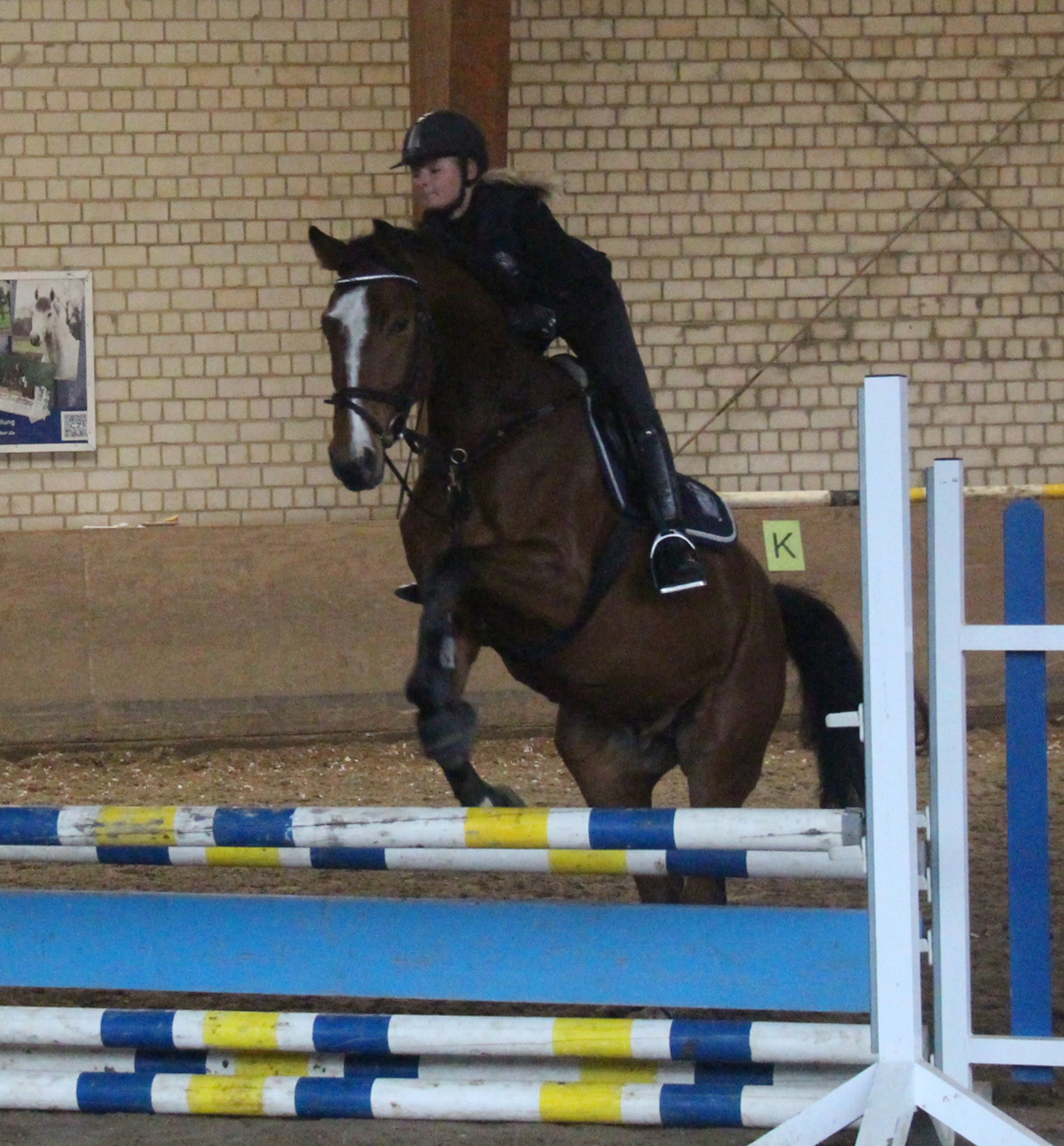 Der international erfolgreiche Reiter Daniel Oppermann trainierte ...