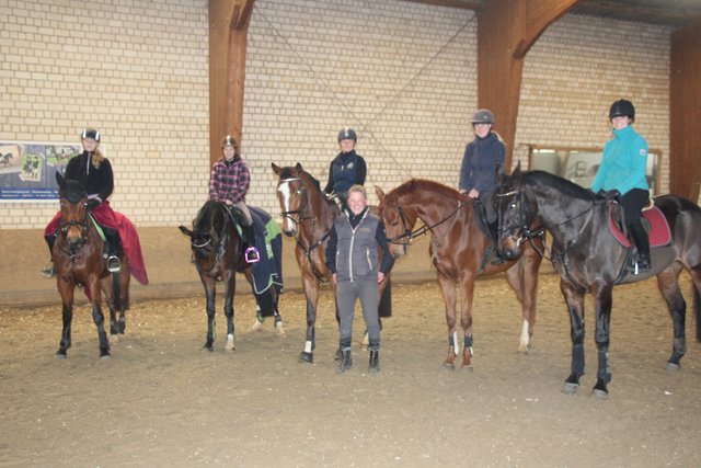 Der international erfolgreiche Reiter Daniel Oppermann trainierte ...