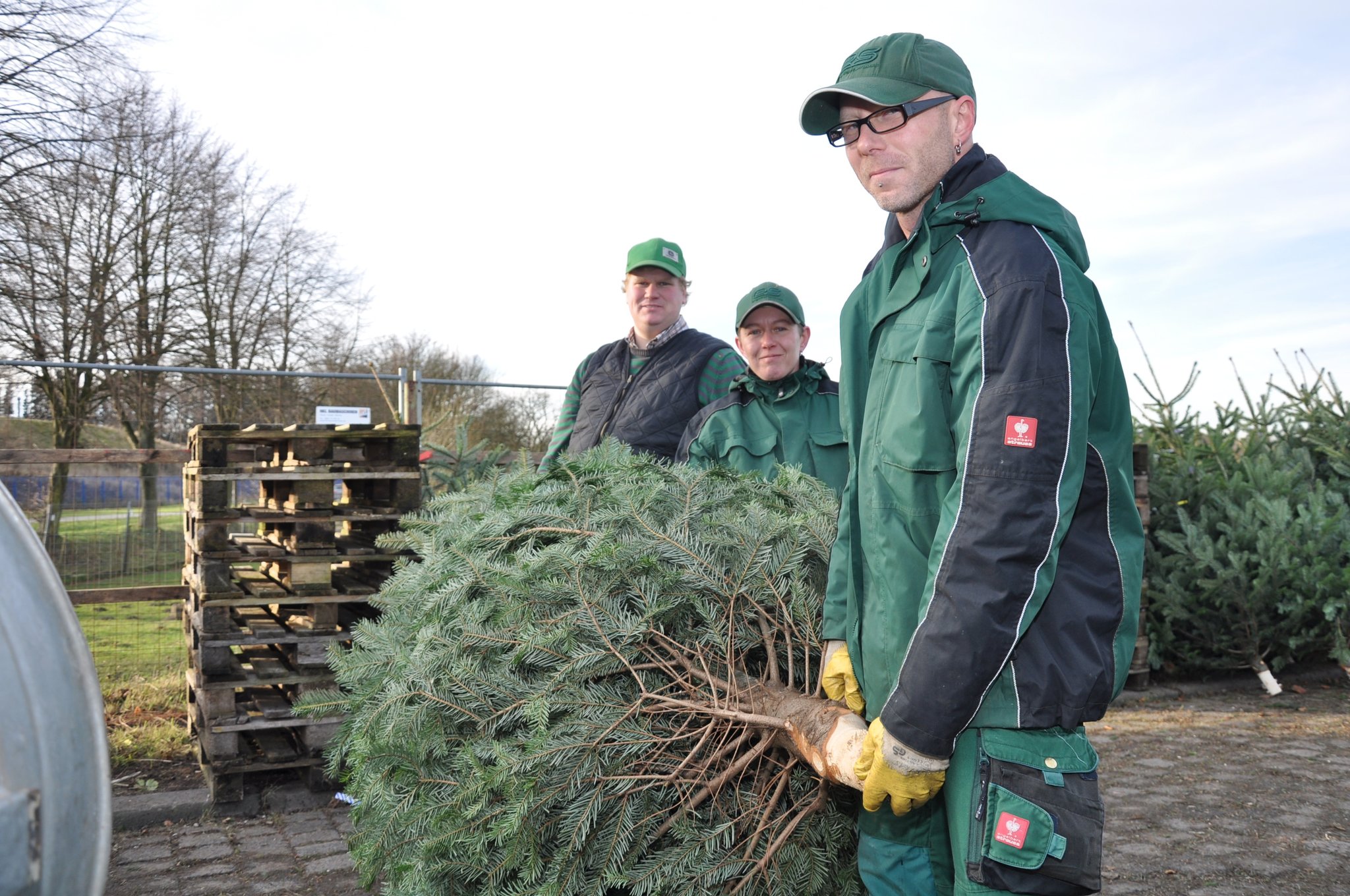 Weihnachtsbäume leben doch noch! - Essen-Süd