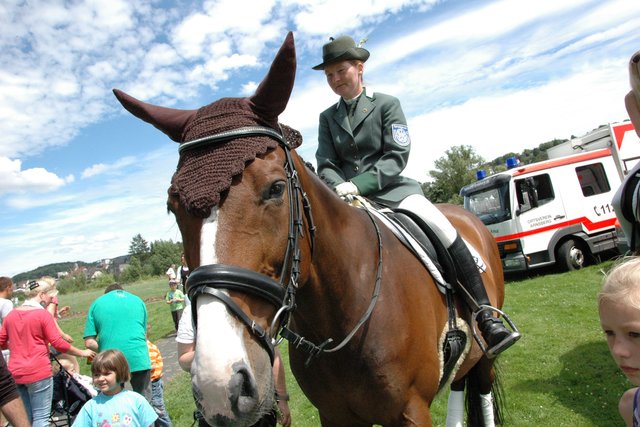Christian Drees neuer König der Arnsberger Bürgerschützen - Arnsberg