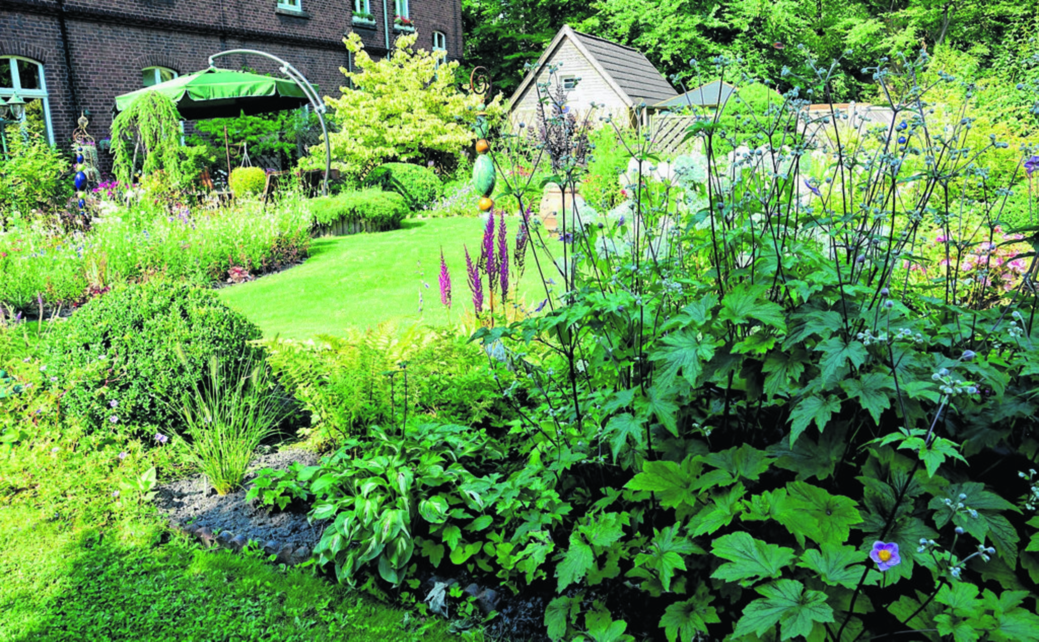 Prächtiger Staudengarten mitten in Katernberg - Essen-Nord