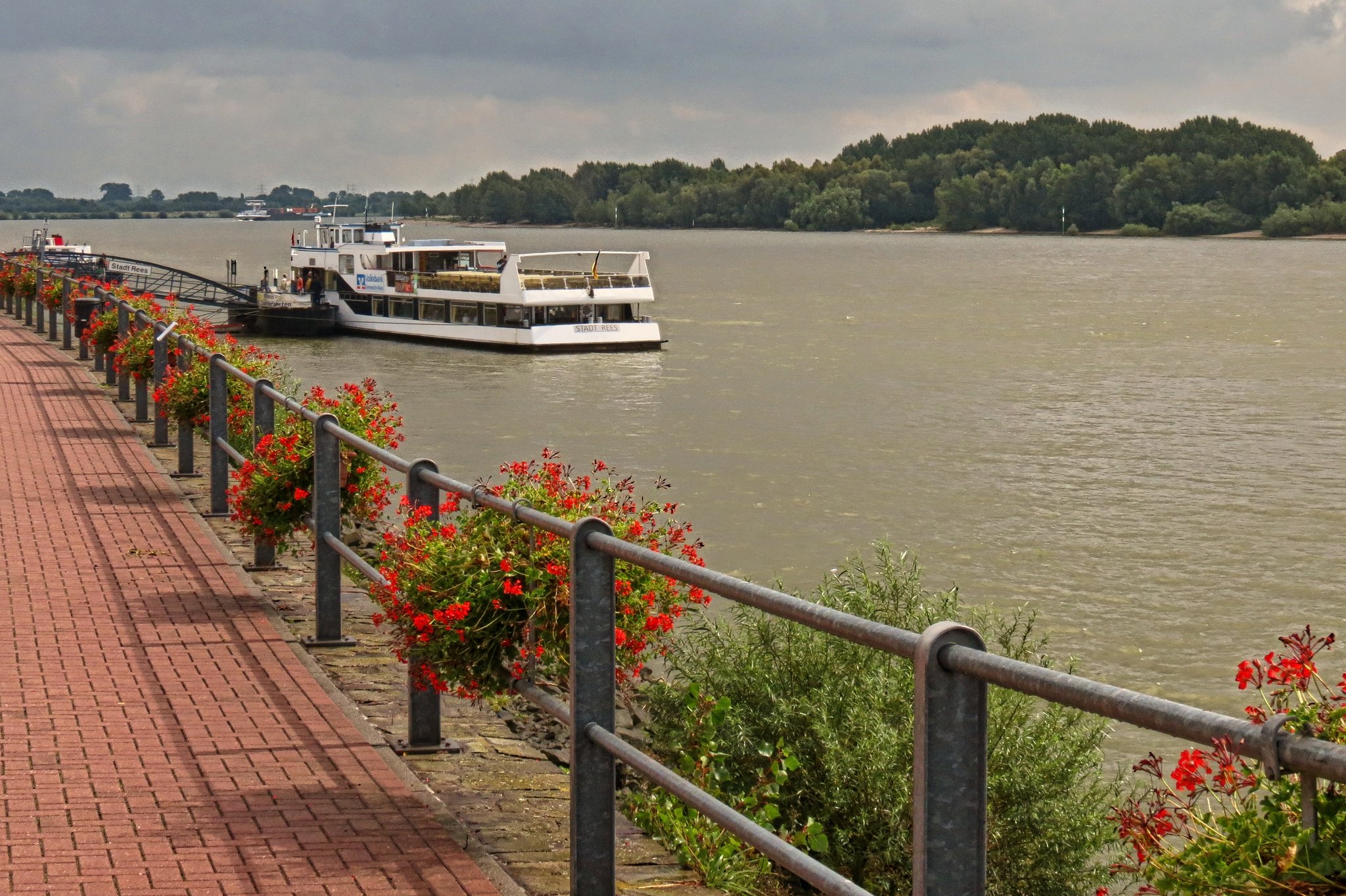 1 1/2 Stunden Niederrhein - Rees