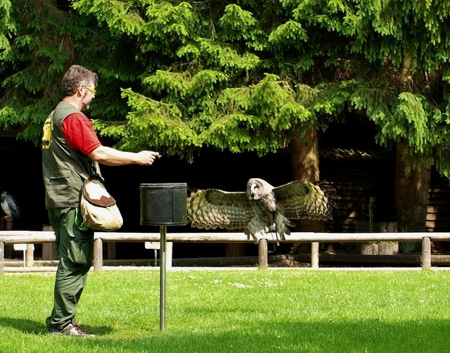 Besuch im Wildgehege Hellenthal in der Eifel - Kempen-Tönisberg
