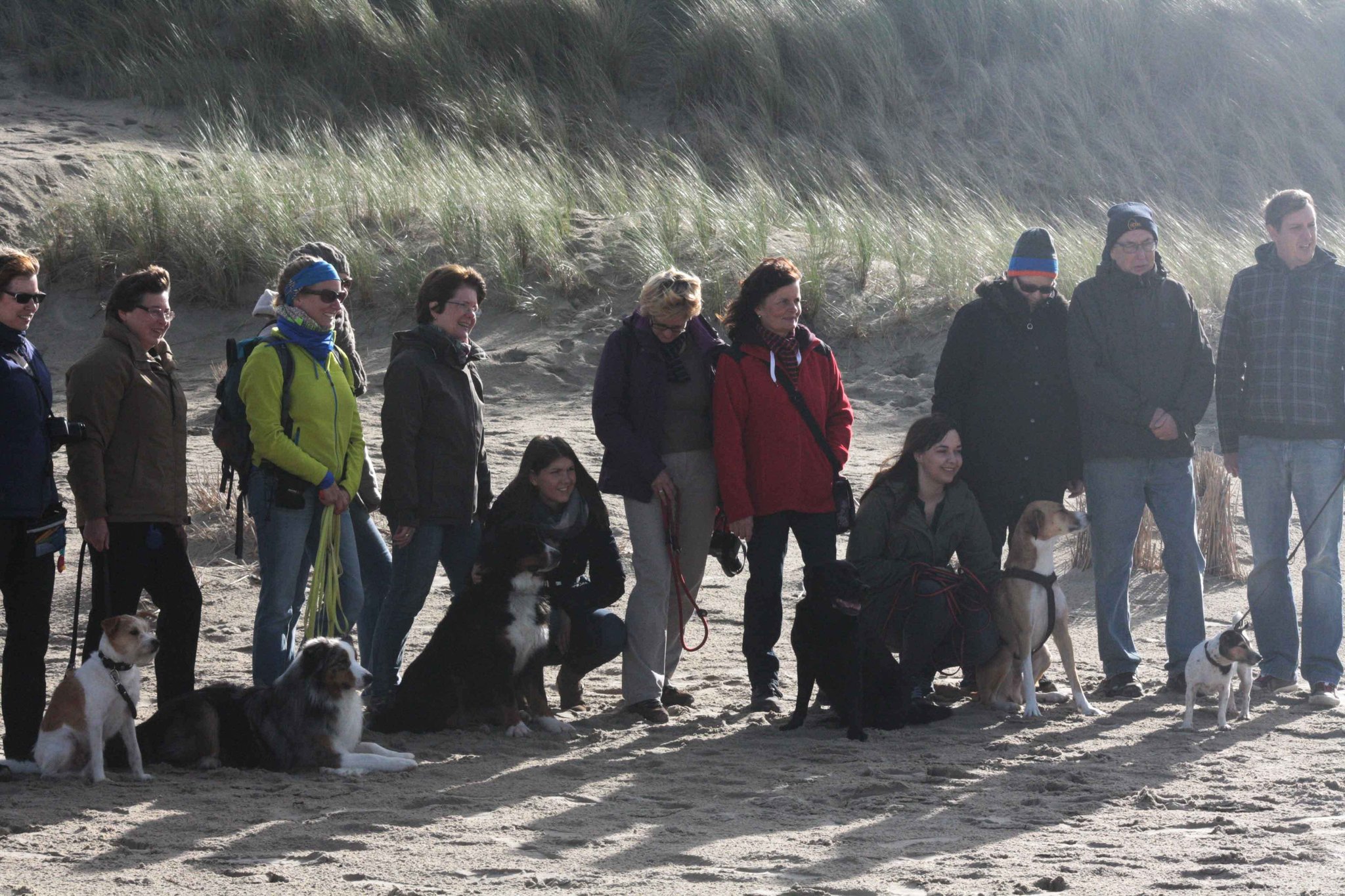Ein Tag am Meer - Welthundetag am 10. Oktober auf Texel - Essen-Süd