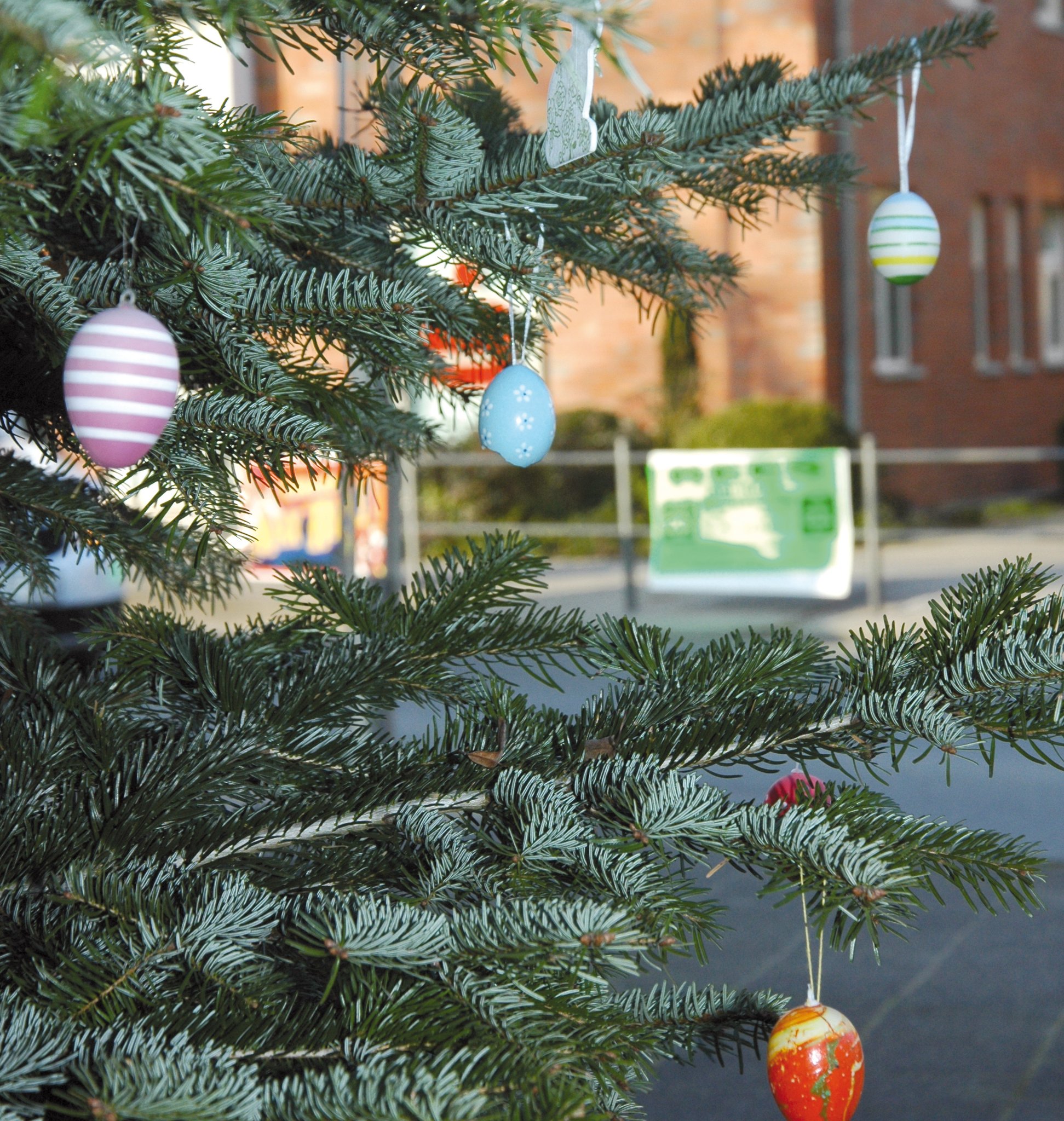 Halderns neue Attraktion: der Osterbaum - Emmerich am Rhein