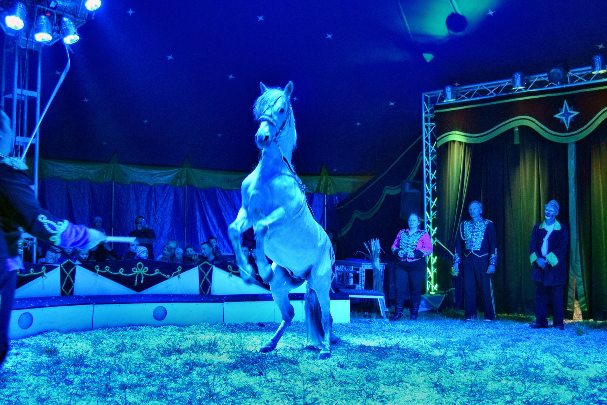 Der Zirkus, ein Ort an dem ein jeder mit offenen Augen träumen kann ...