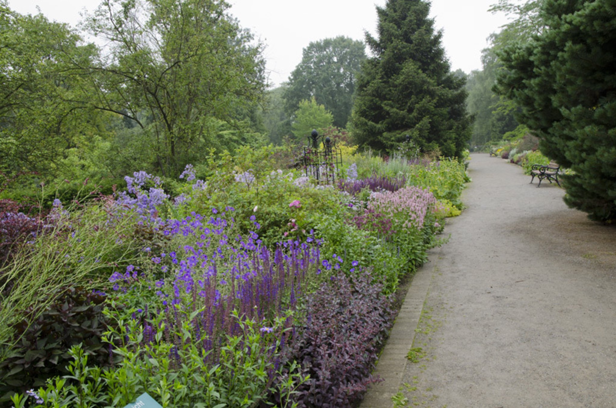 "Beetfest" im Botanischen Garten Rombergpark - Dortmund-Süd