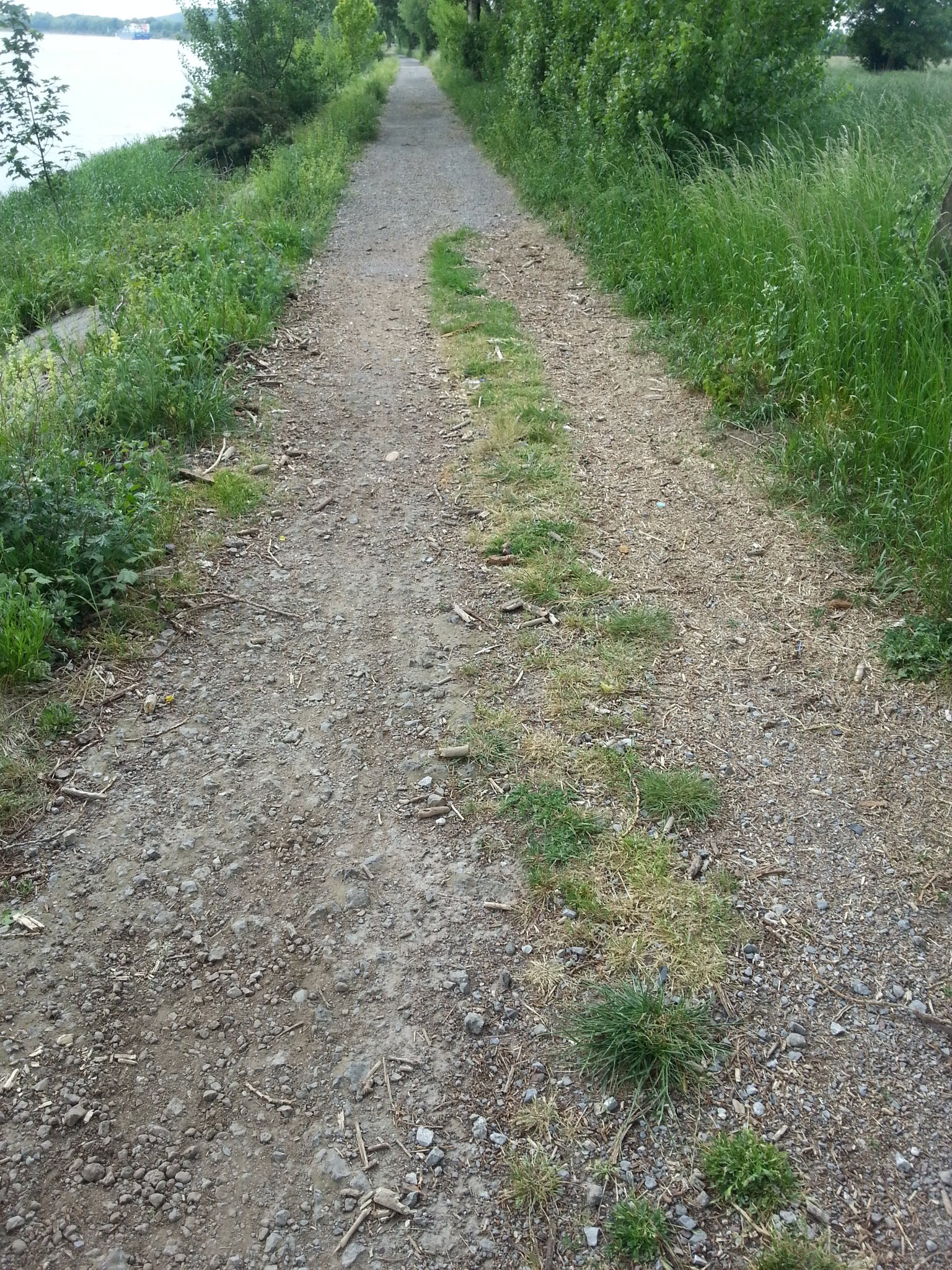 Rheinpromenade in Baerl - Duisburg