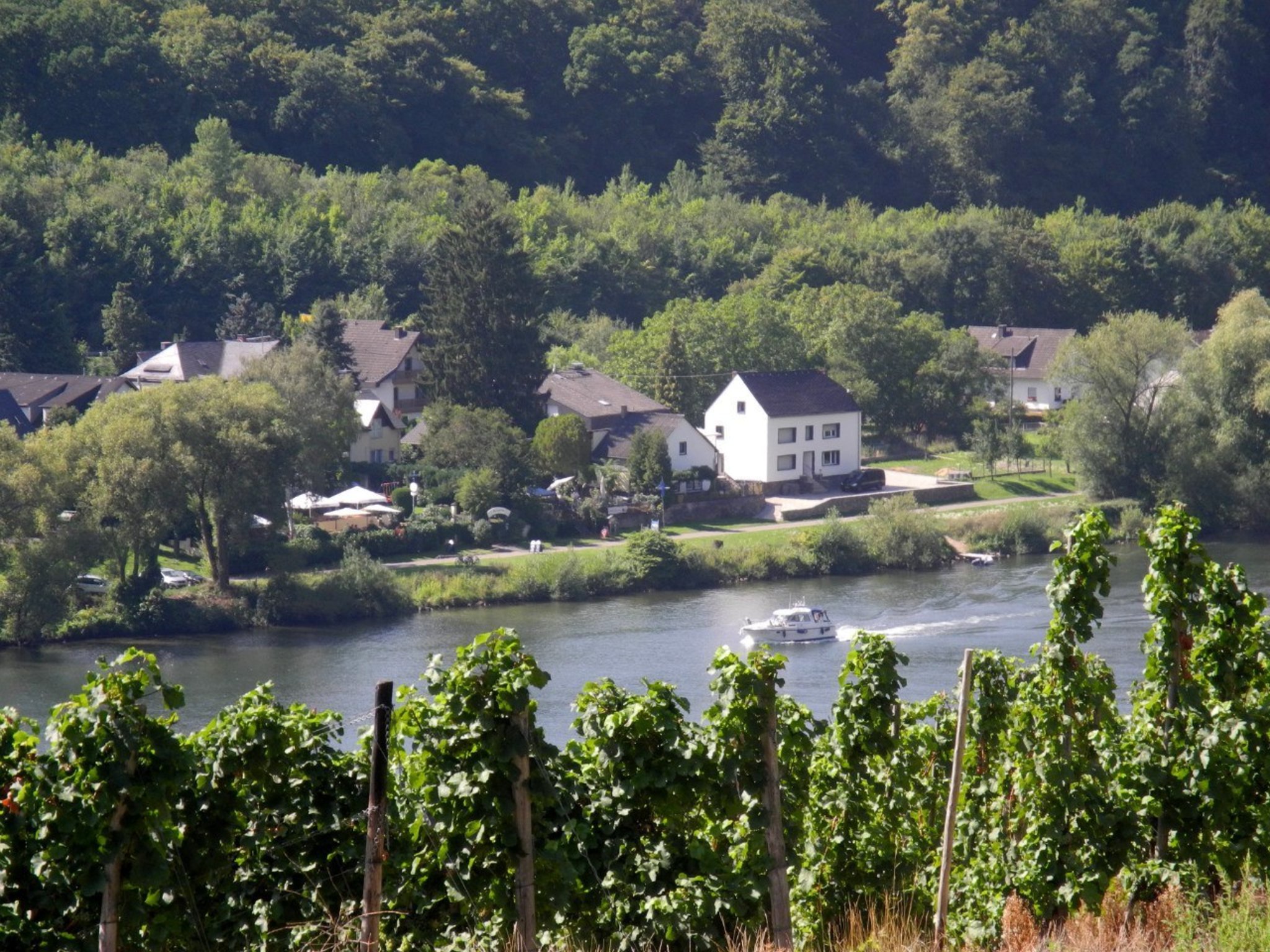 Ein Ausflug nach Senheim am Mosel - Castrop-Rauxel