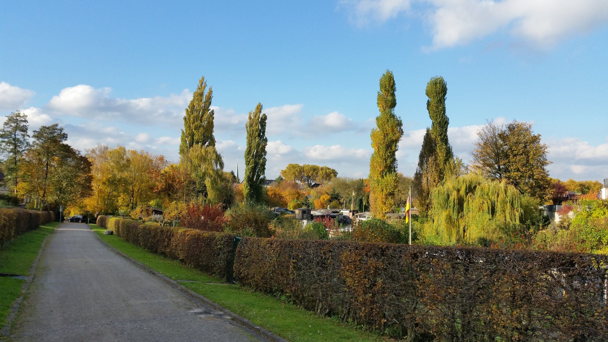 Kray -Leithe im Herbst - Essen-Steele