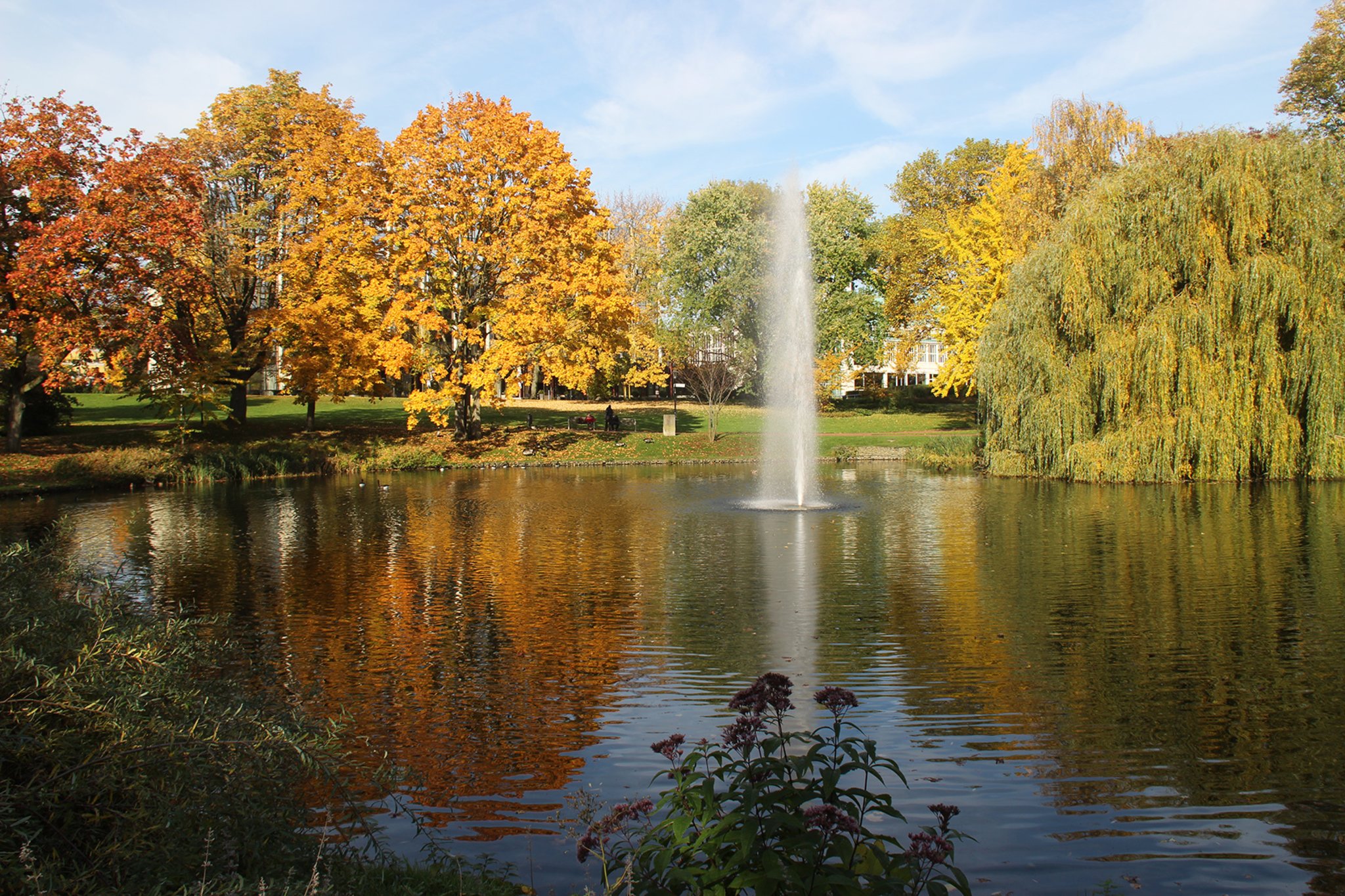 Stadtgarten Essen - Essen-Süd