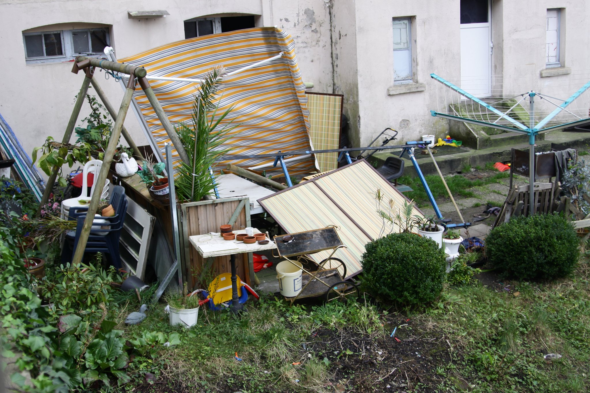 Rattenplage in Hagen-Wehringhausen, Eugen-Richter-Strasse - Hagen