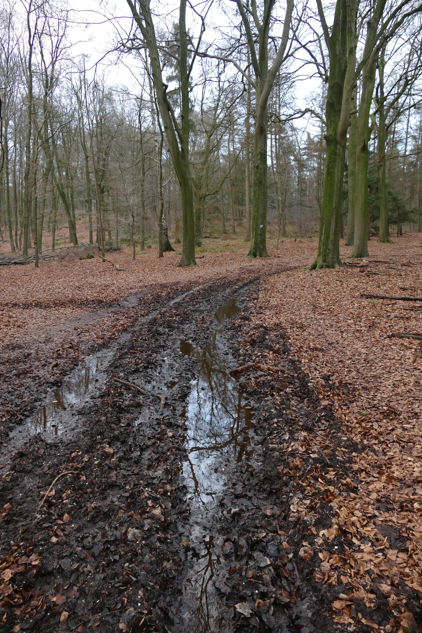 Schlamm als Thema für ein Gedicht - Bedburg-Hau