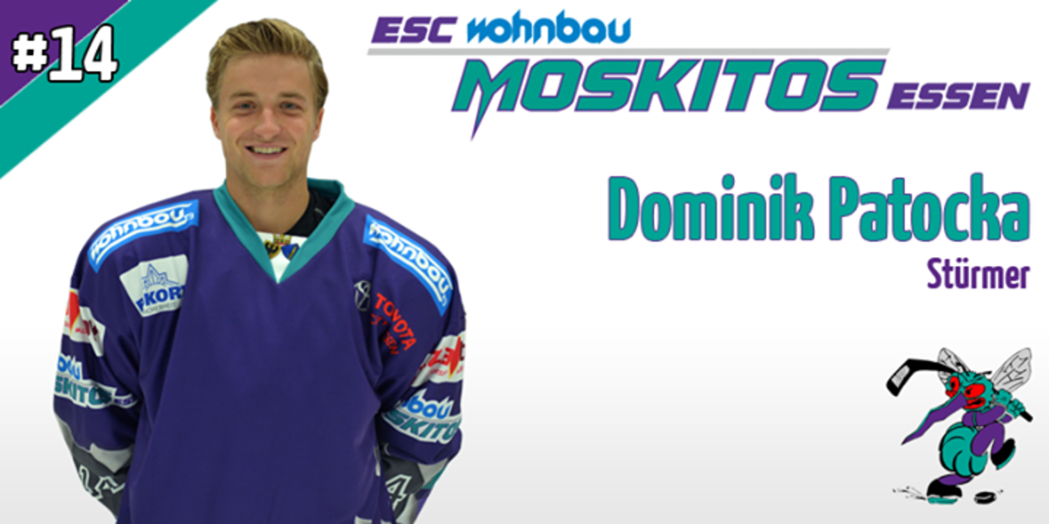 Wohnbau Moskitos halten auch Dominik Patocka - Essen-West