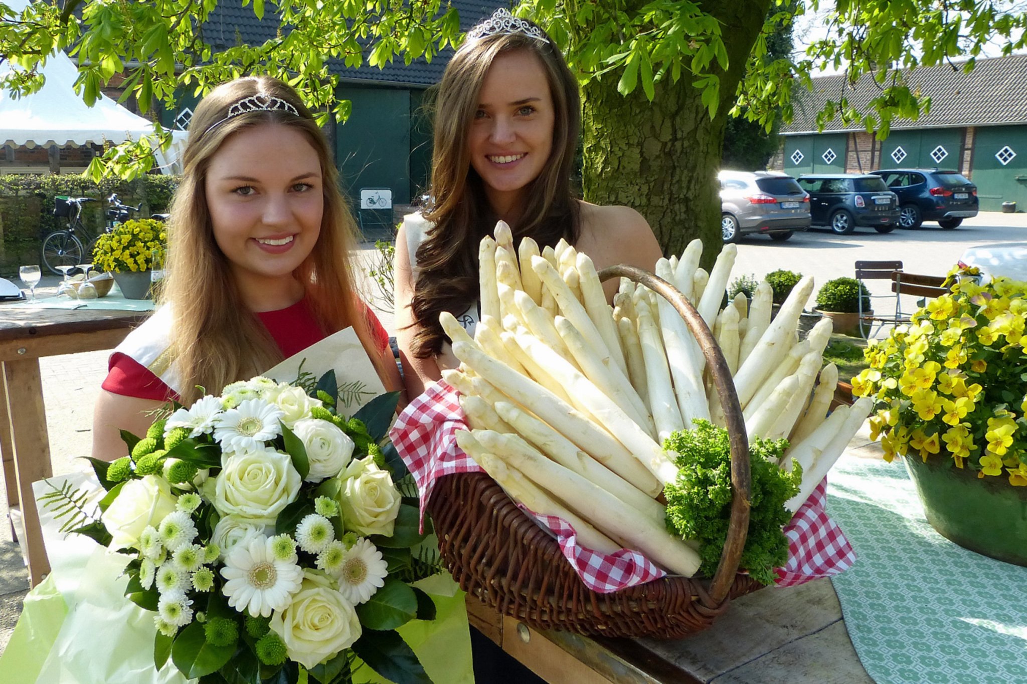 250 Tonnen weißes Gold - Spargelsaison eröffnet - Herten