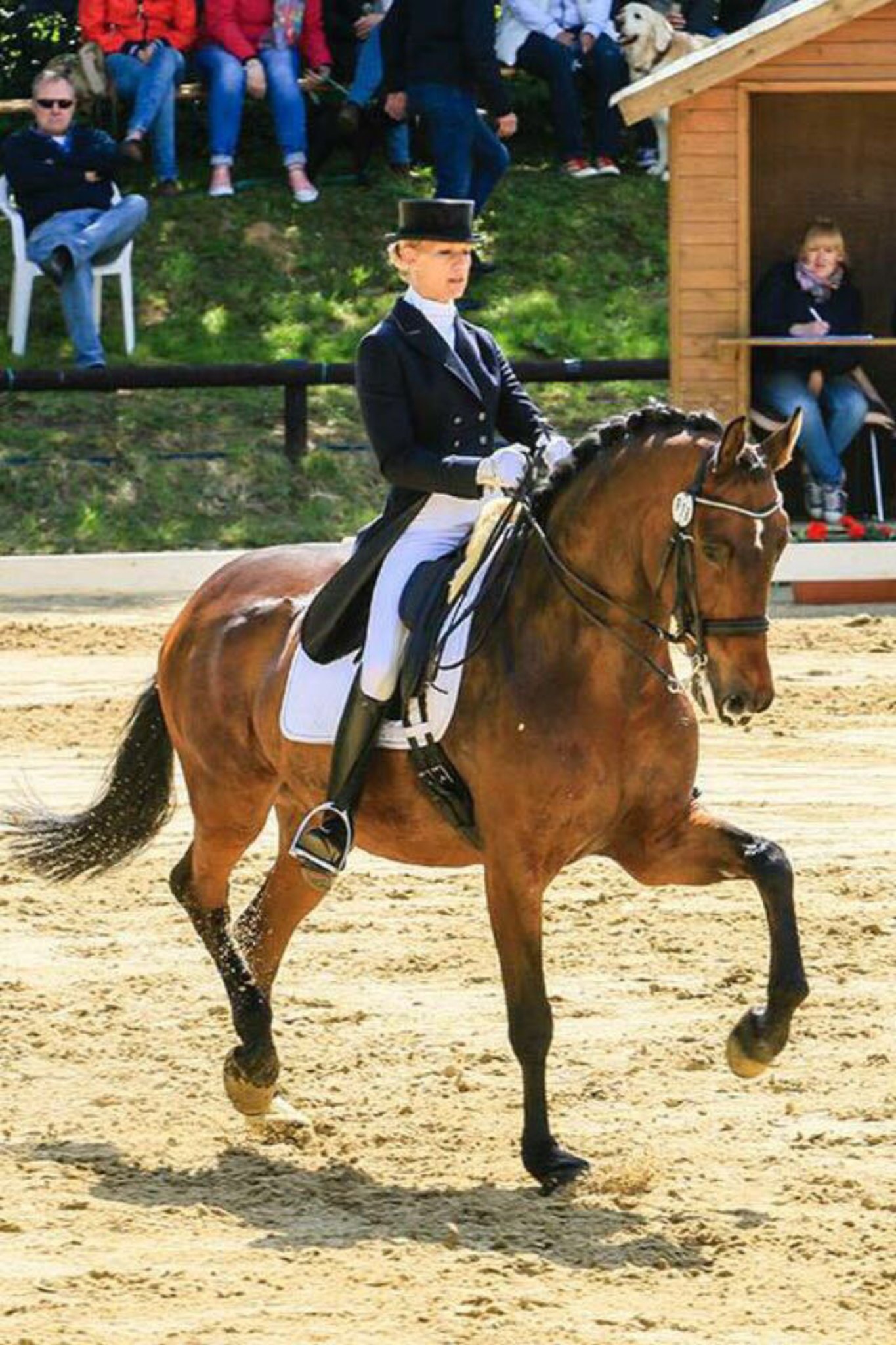 Reitturnier im Hexbachtal - Essen-Borbeck