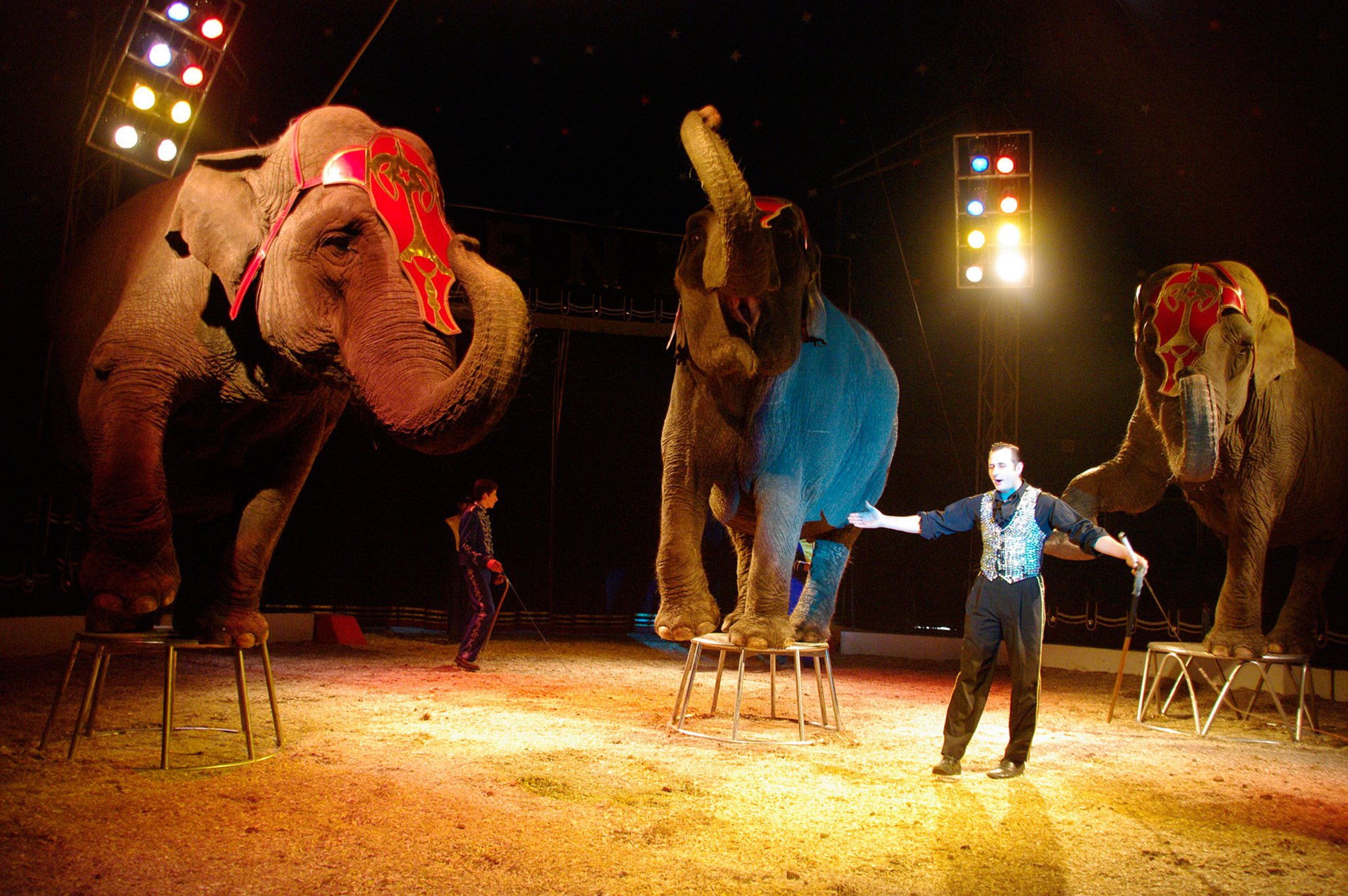 Circus Renz gastiert bis zum 26. Juni an der Schermbecker Landstraße in ...