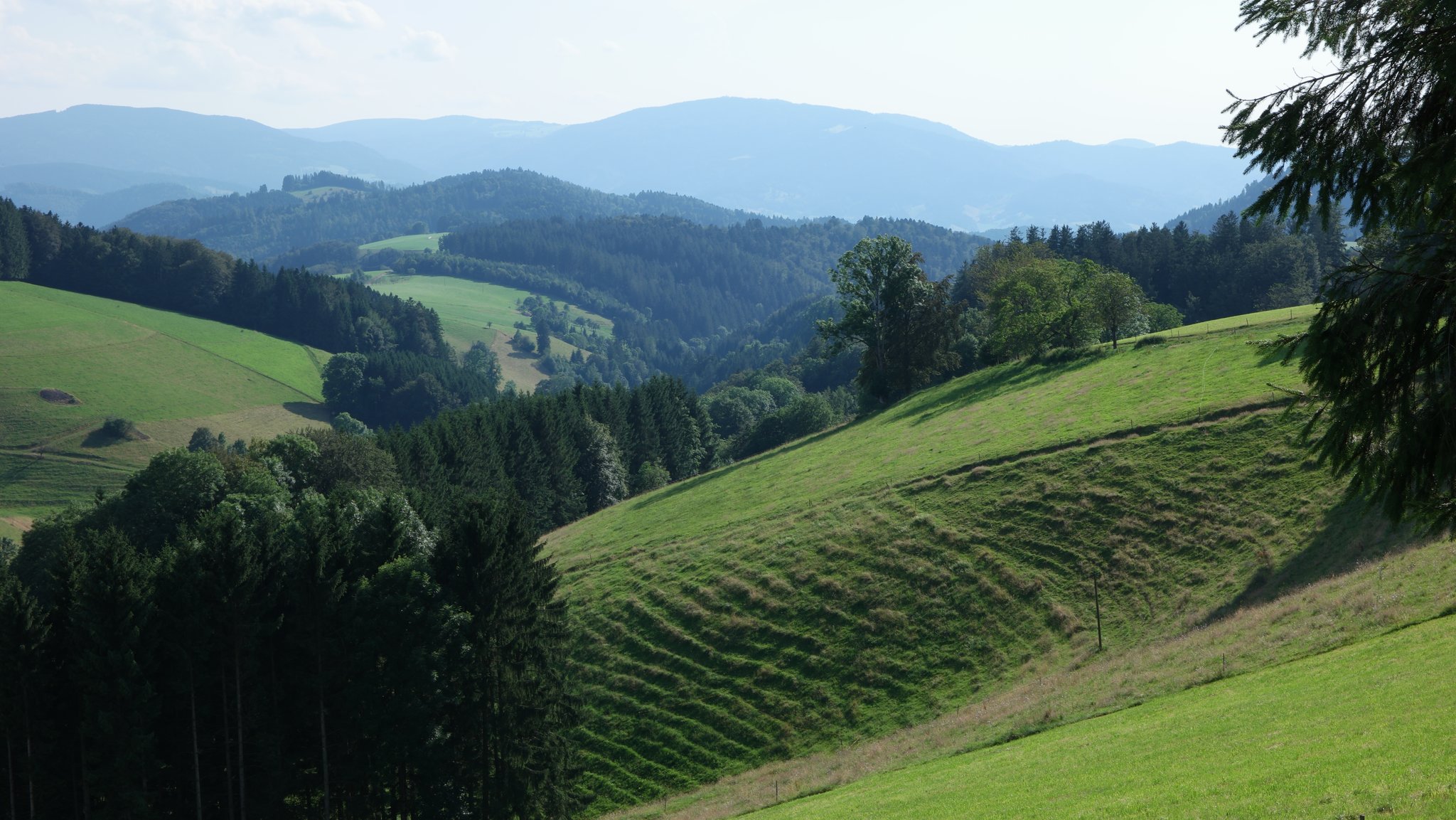 Tourenziele im Hochschwarzwald - Hagen