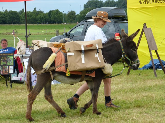 PPP Tage - Viele Esel in Wesel - Wesel