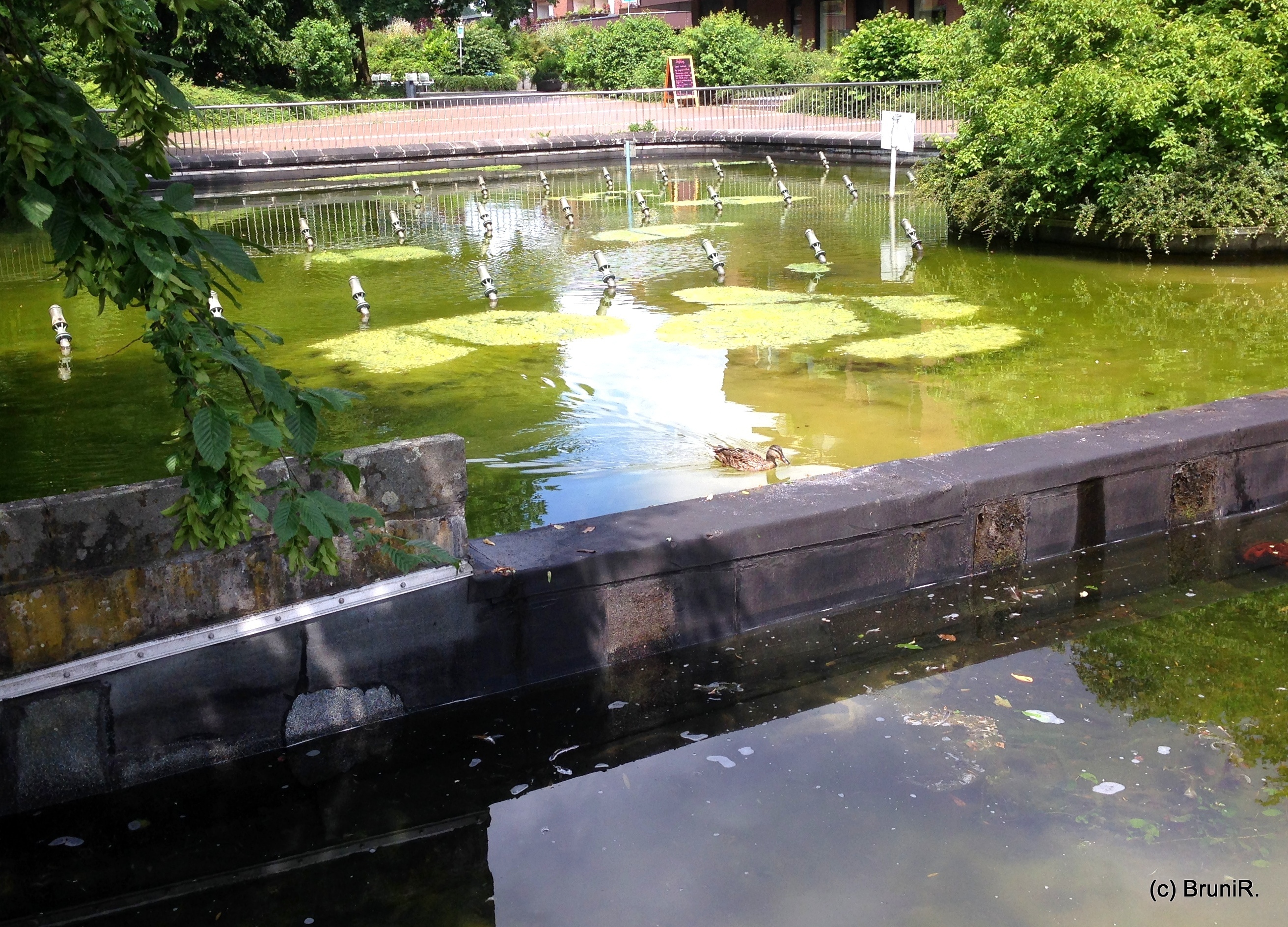 Ausflugtipp - Freizeitpark Langfort in Langenfeld - Langenfeld (Rheinland)