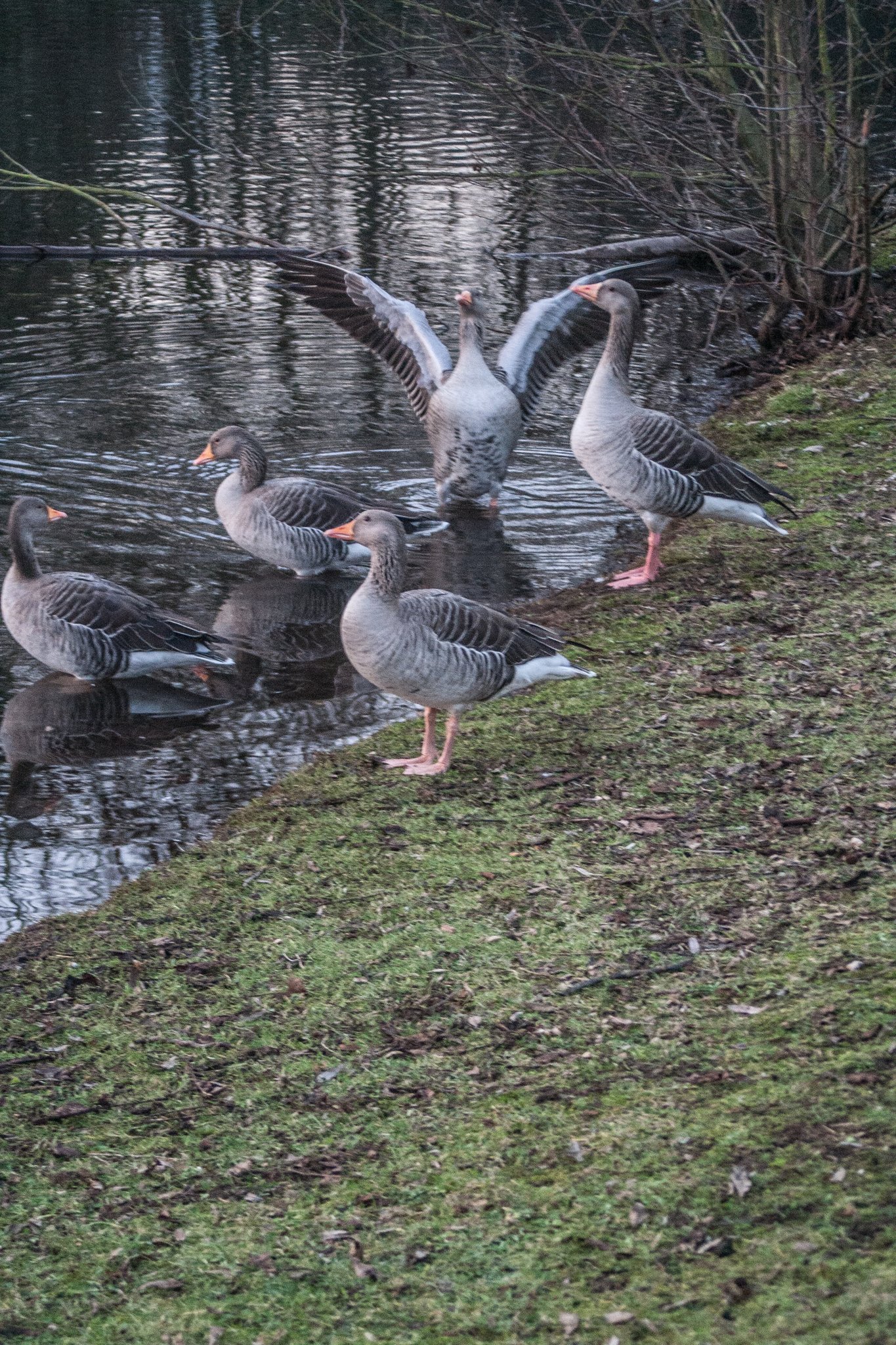 Da staunt der Laie - Neukirchen-Vluyn